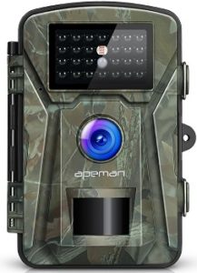 Best 5 Cheap & Budget Game Trail Camera Pick In 2022 Reviews