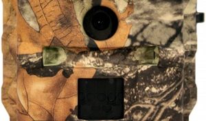 Best 5 No Glow (No Flash) Infrared Game Trail Camera Reviews